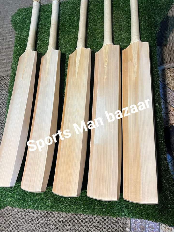 Cricket Bats Are Made Of Which Wood– Sports Man Bazar
