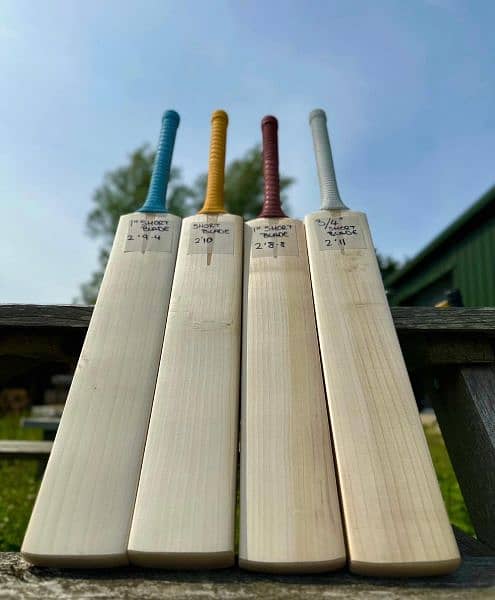 CA Junior Bats: Navigating the Maze of Size and Weight Options– Sports ...