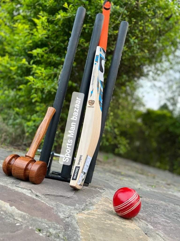 SG RP-17 Rishab Pant edition English willow Grade 1 bat– Sports Man Bazar