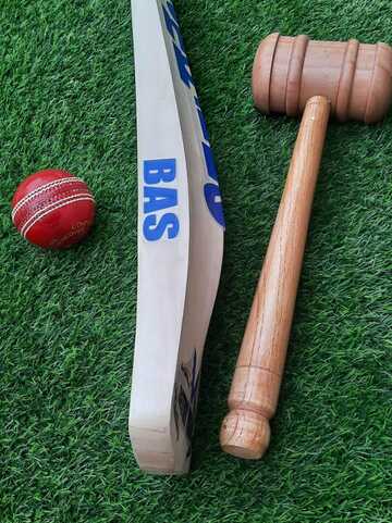 Bas Vampire Retro Cricket Bat English Willow– Sports Man Bazar